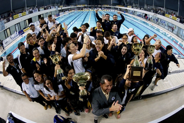 53202558734_aa429afe0b_c - Best Swimming