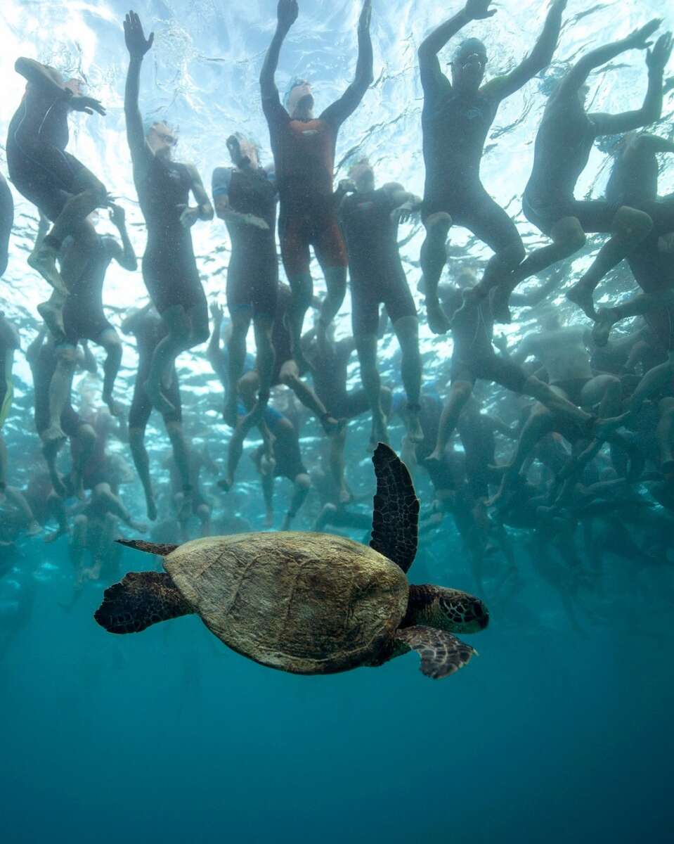 462861410_533028193012978_5467773333437071547_n - Best Swimming